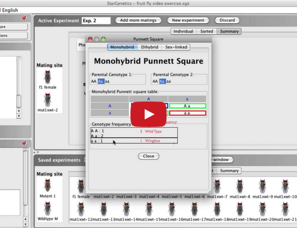 StarGenetics Tutorial 1- Getting Started – MIT-Haiti Initiative